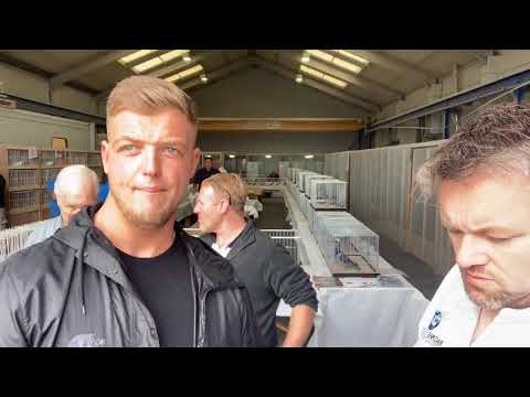 Wesley Ellis Interview